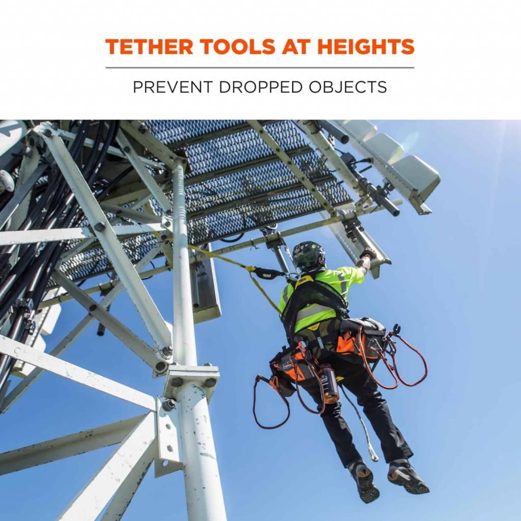 Ergodyne Squids 3100F Single Carabiner 10 lb Tool Lanyard - GME Supply