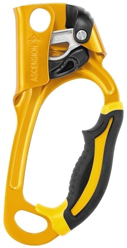 Petzl ASCENSION Handled Rope Clamp/Ascender Grab - GME Supply