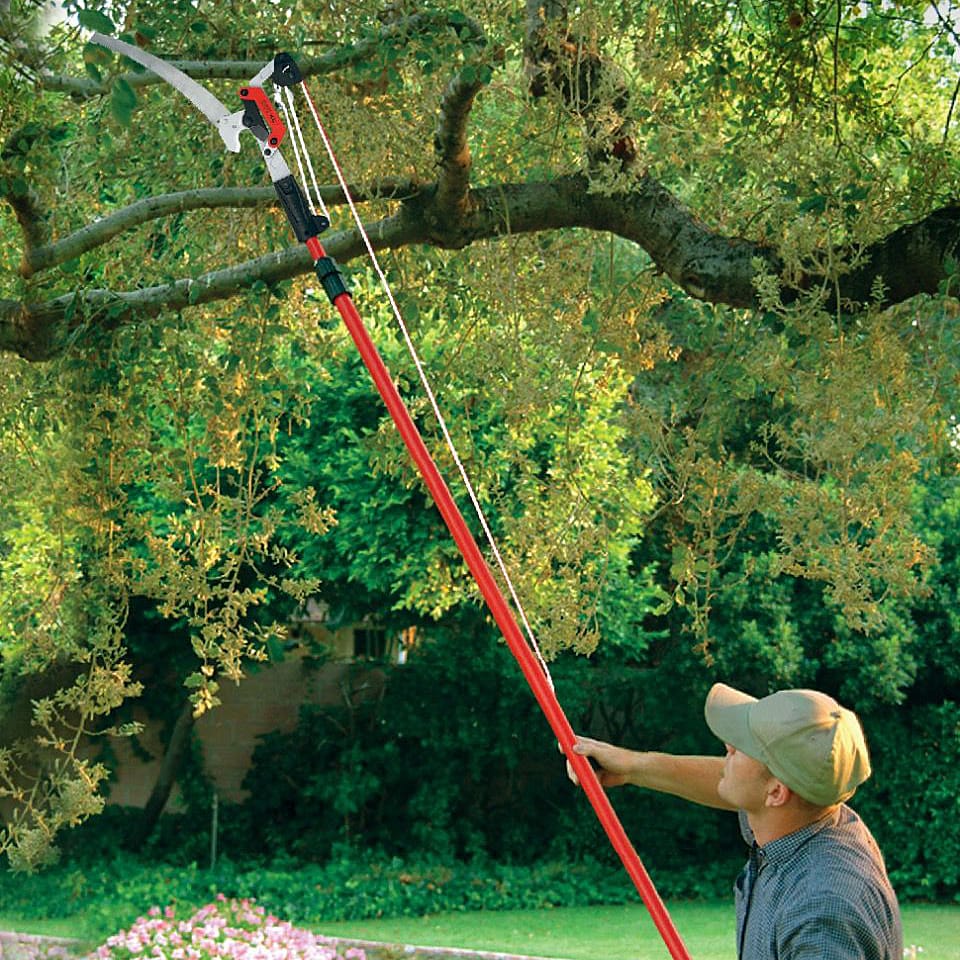 tree pruner corona