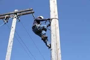 3M DBI Sala 1204058 Cynch-Lok Fall Restricting Pole Strap for ...